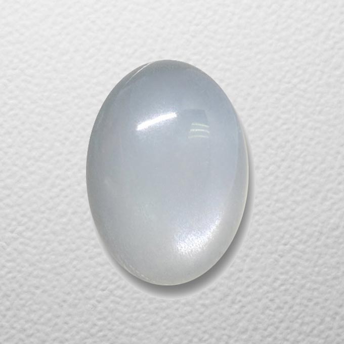 Collections – BAZZAR PRO